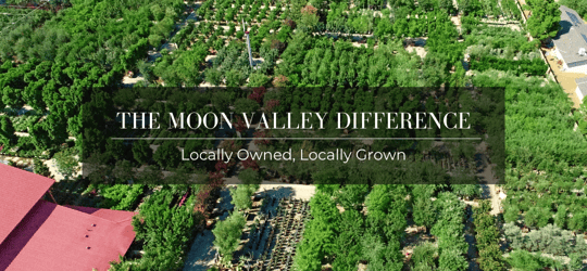 The Moon Valley Difference - Locally-Owned, Locally-Grown